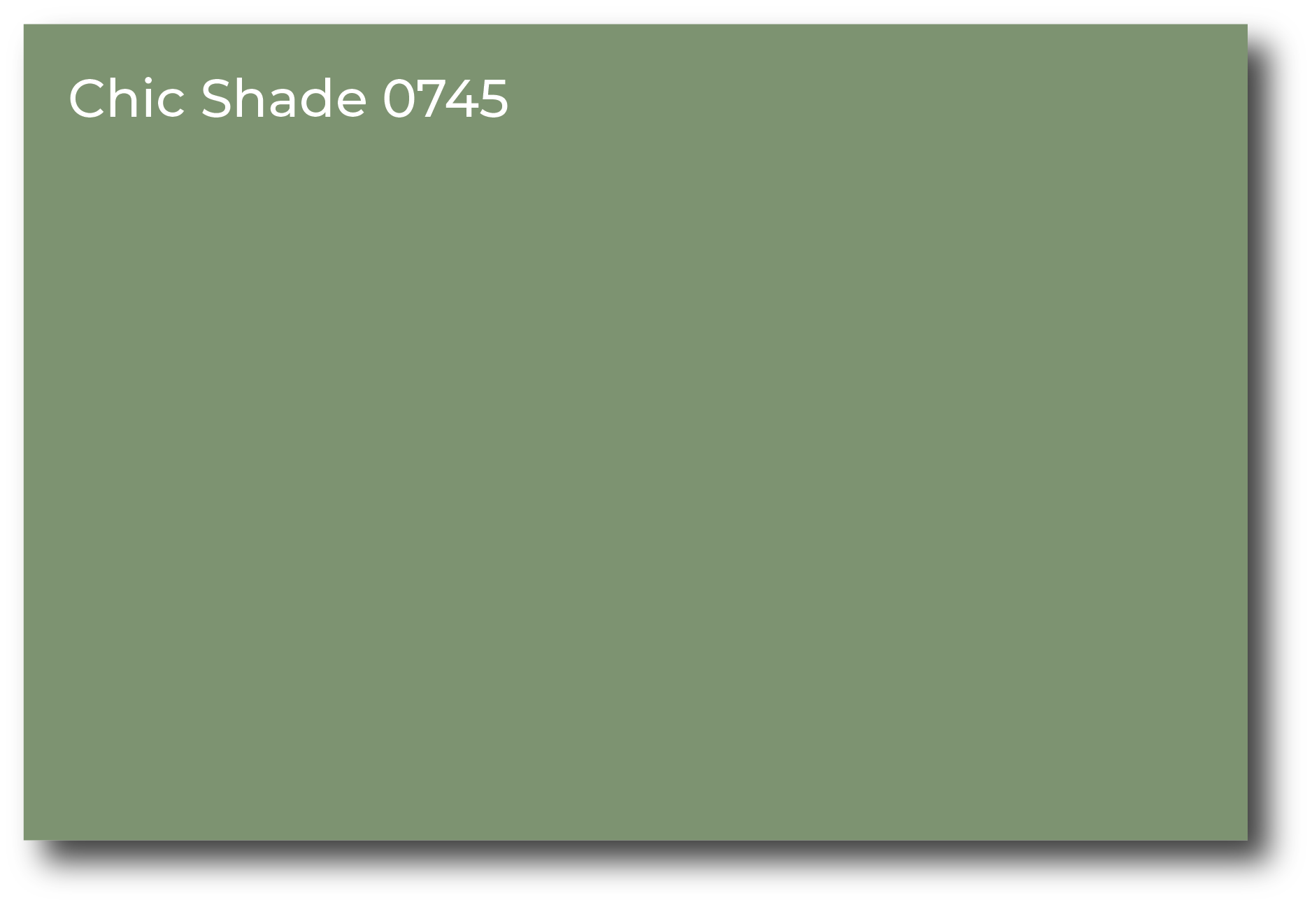 2025 Color of the Year: Chic Shade 0745 - Color Solutions